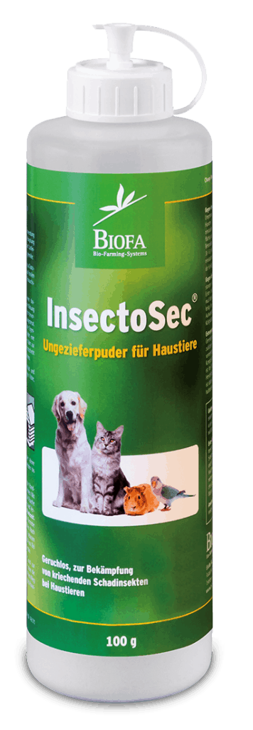 Hundeflöhe und Katzenflöhe mit InsectoSec sicher bekämpfen